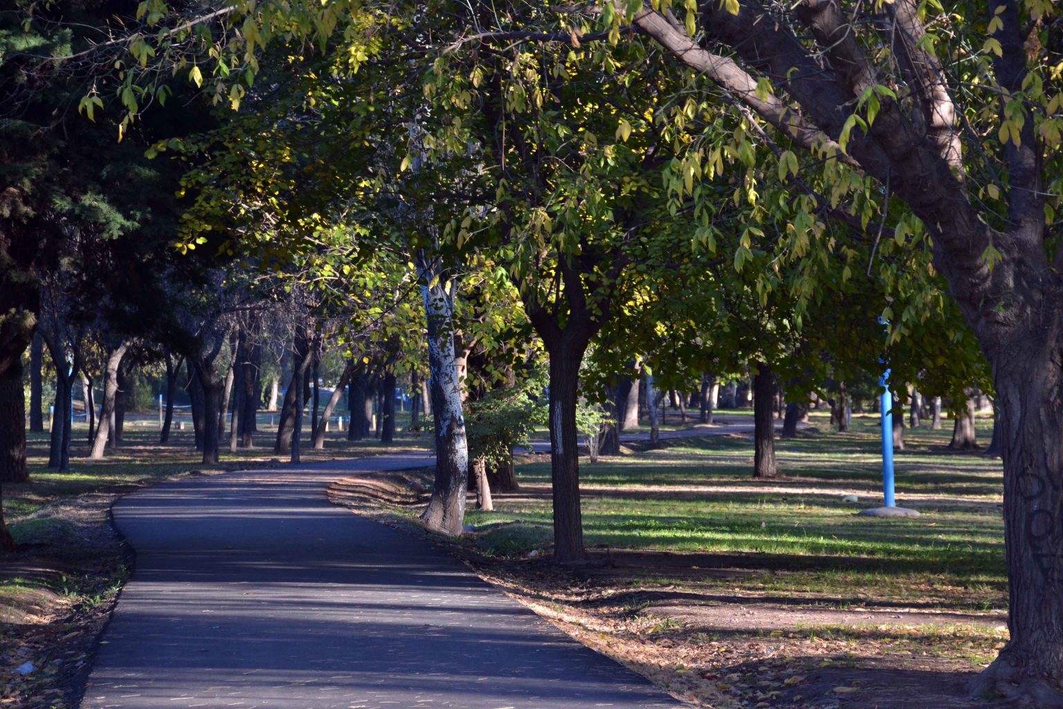 $129 millones para el mantenimiento integral del Parque Sarmiento ...
